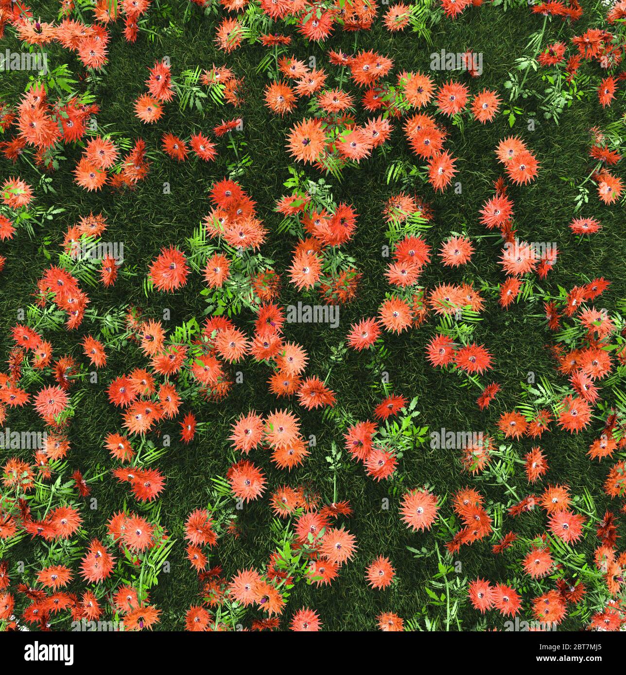 Square image of small flowers Stock Photo - Alamy