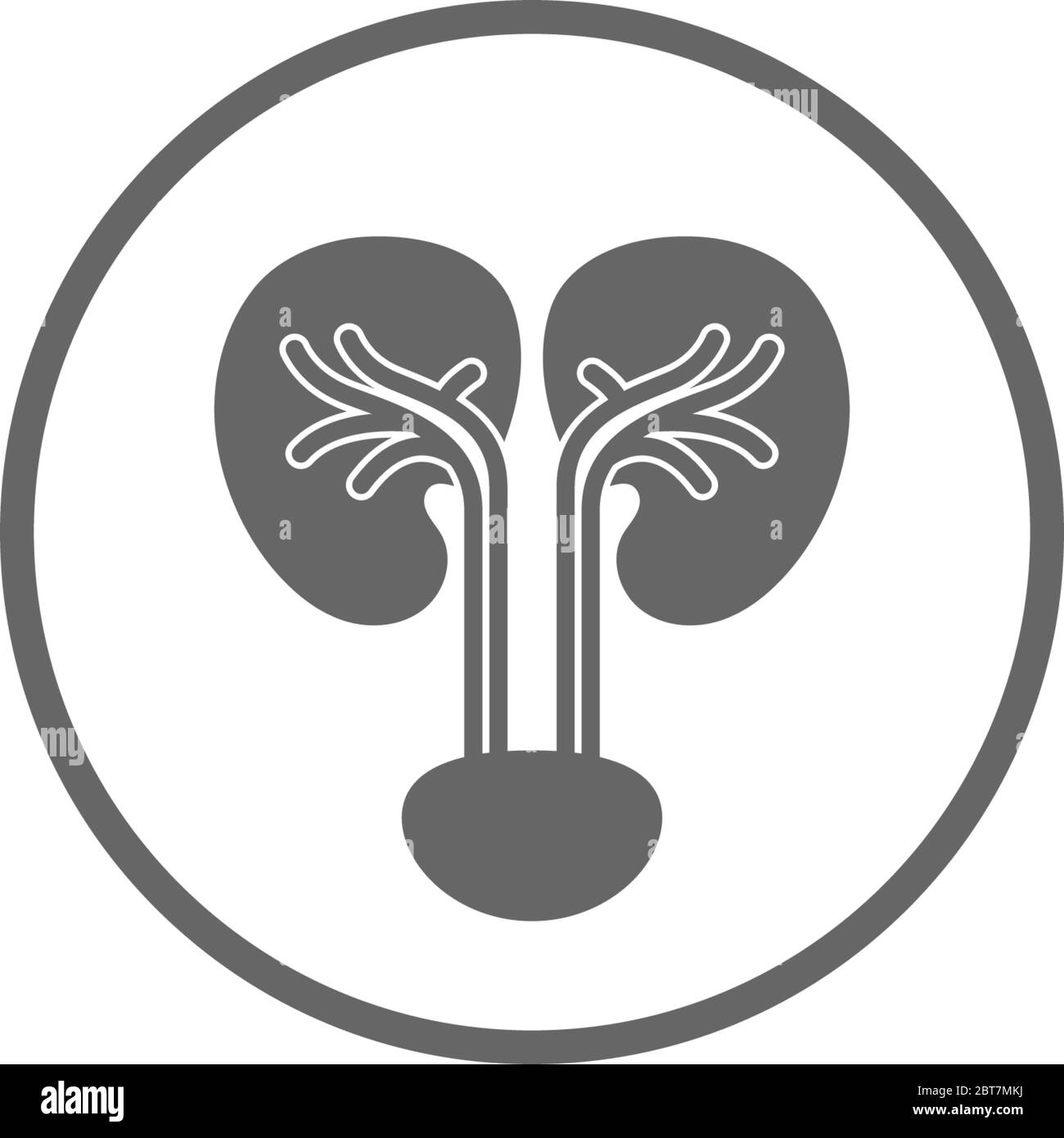 Urology logo, kidney logo icon healty illustration Stock Vector Image ...