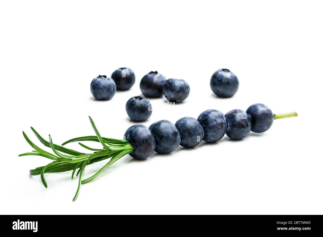 Rosemary stick with blueberry for cocktail isolated on white Stock ...