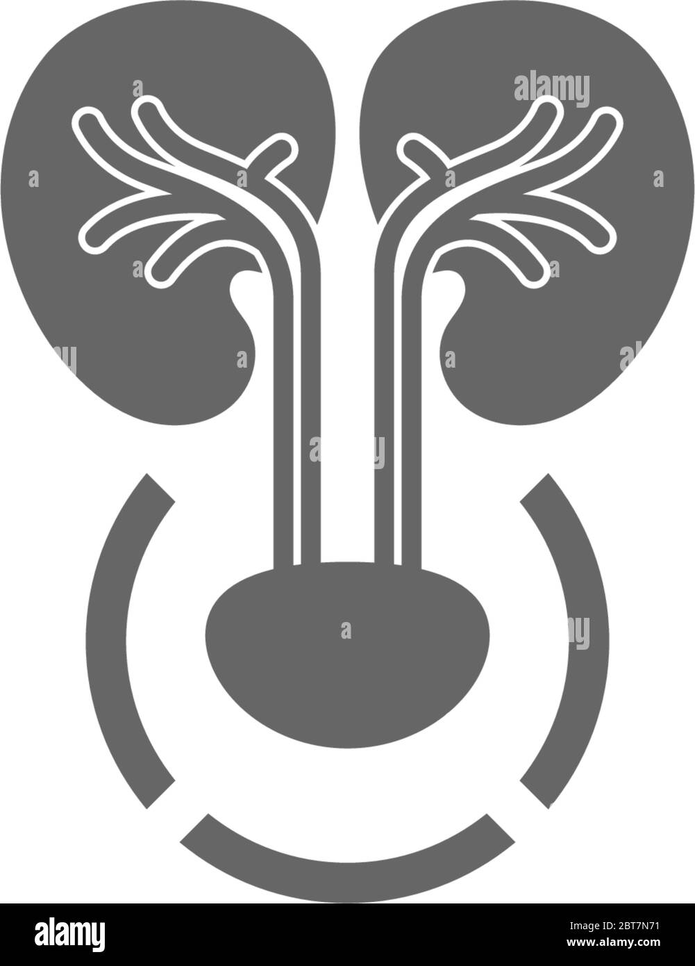 Urology logo, kidney logo icon healty illustration Stock Vector Image ...