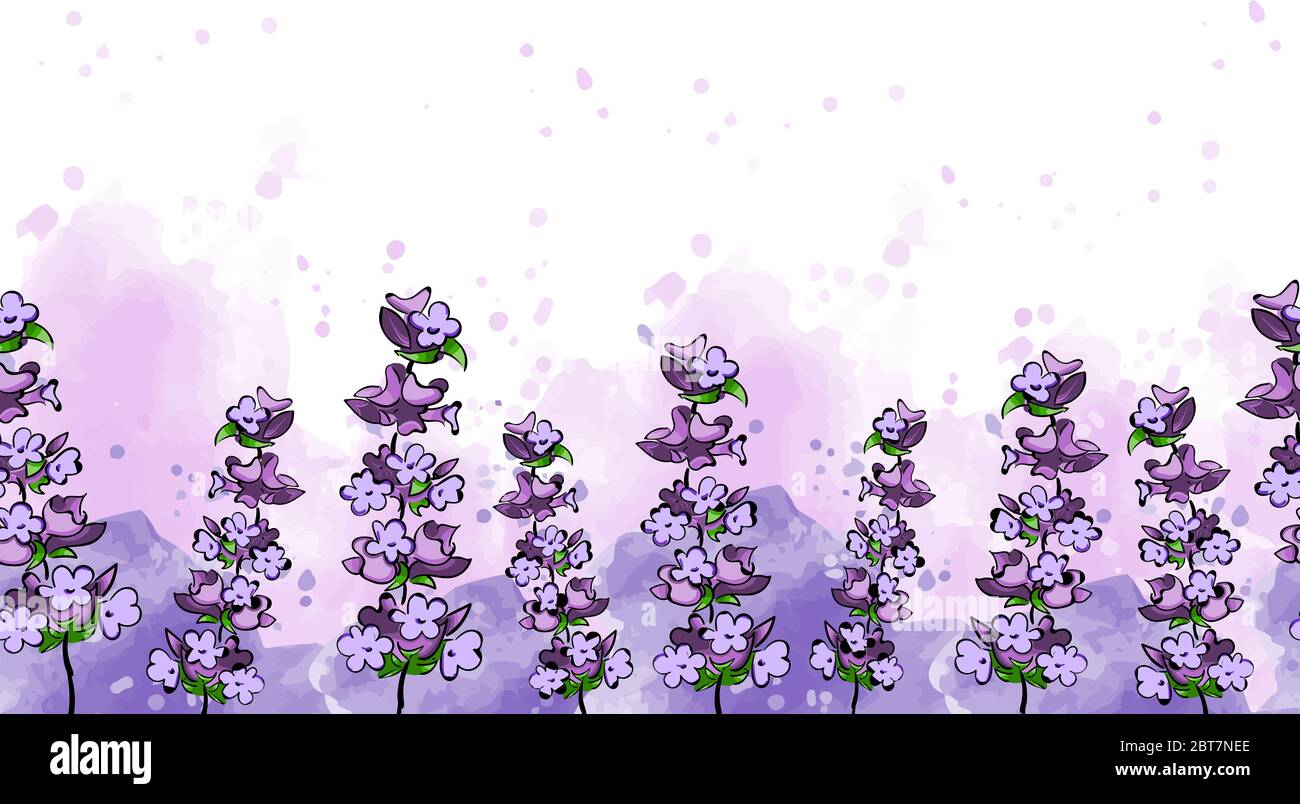 Beautiful horizontal violet lavender flowers retro background on white ...
