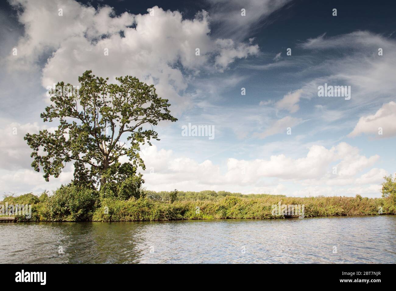 landscape image from a river on the norfolk broads Stock Photo - Alamy