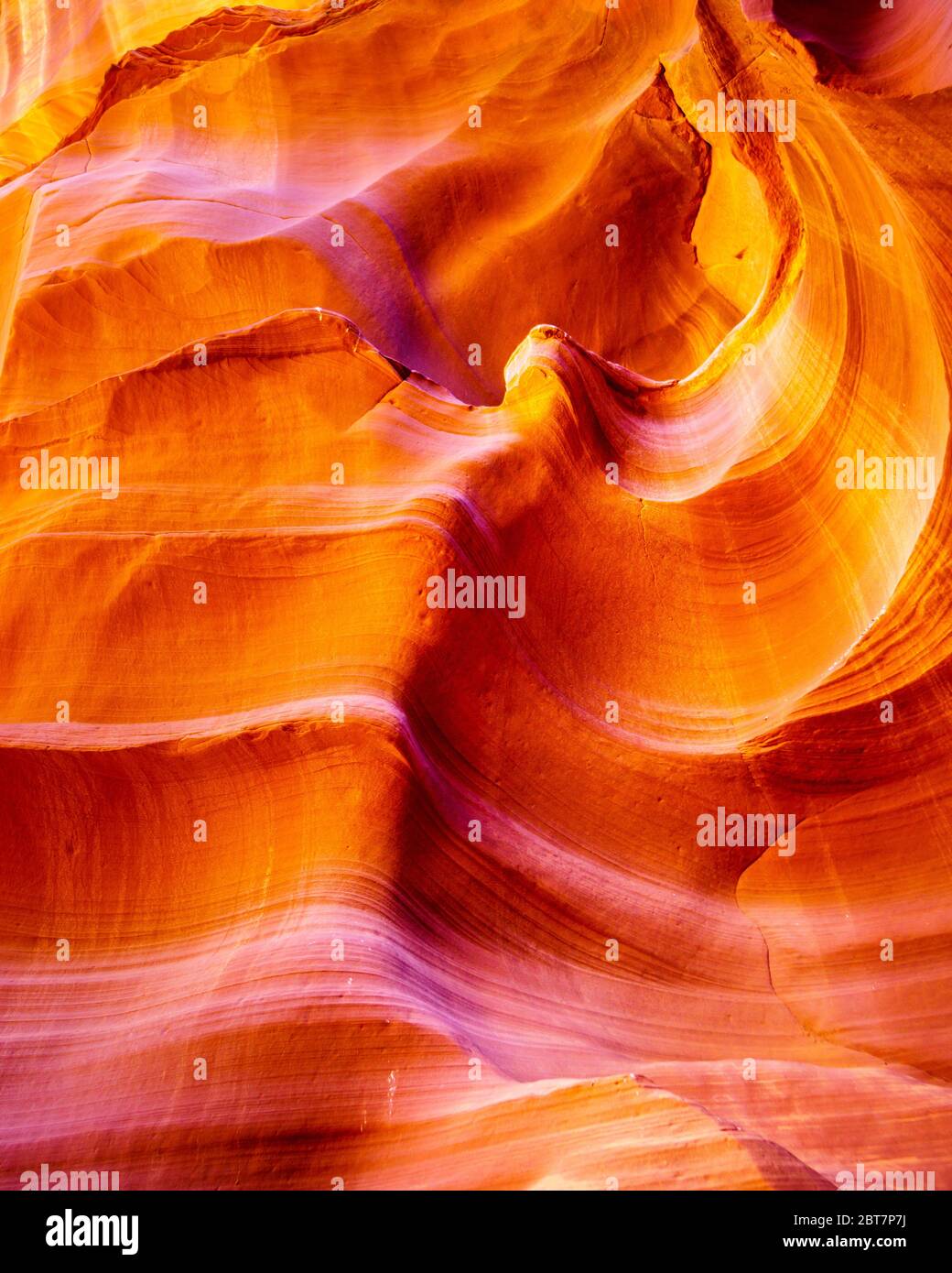 The smooth curved Red Navajo Sandstone walls of Owl Canyon, one of the ...