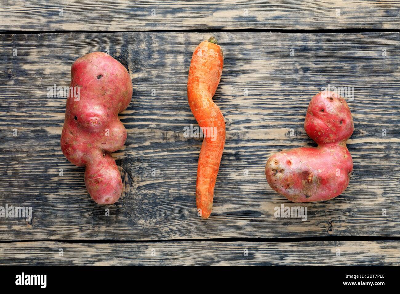 Ugly potato and twisted carrot on an old weathered wooden background ...