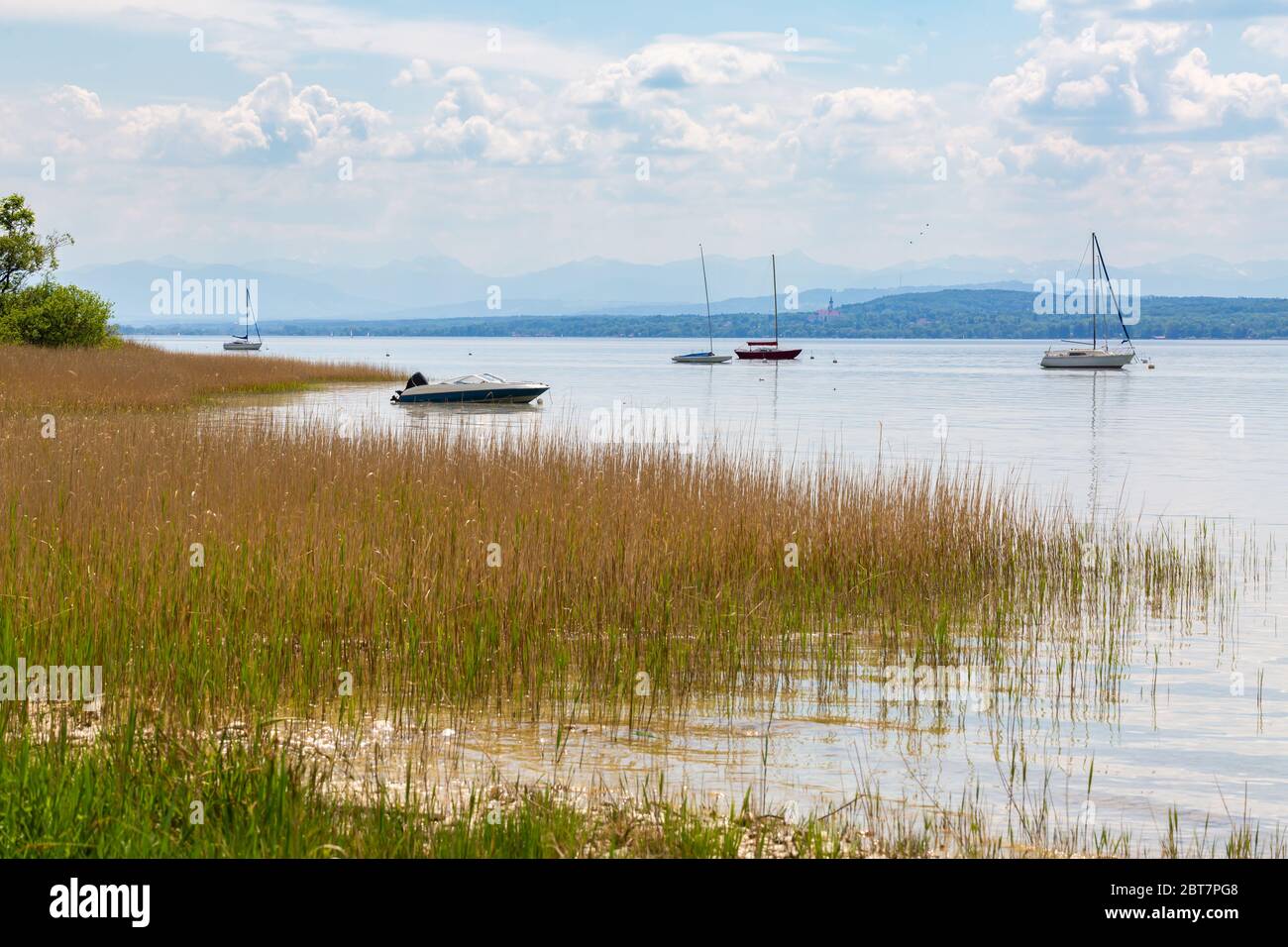 A small motorboat and sailboats at Ammersee (Lake Ammer). Reed in the ...