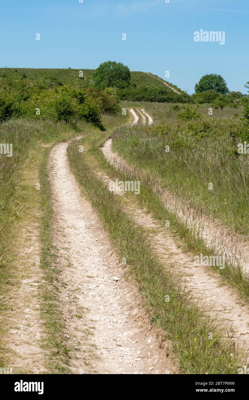 Martin Down National Nature Reserve, chalk downland landscape in ...
