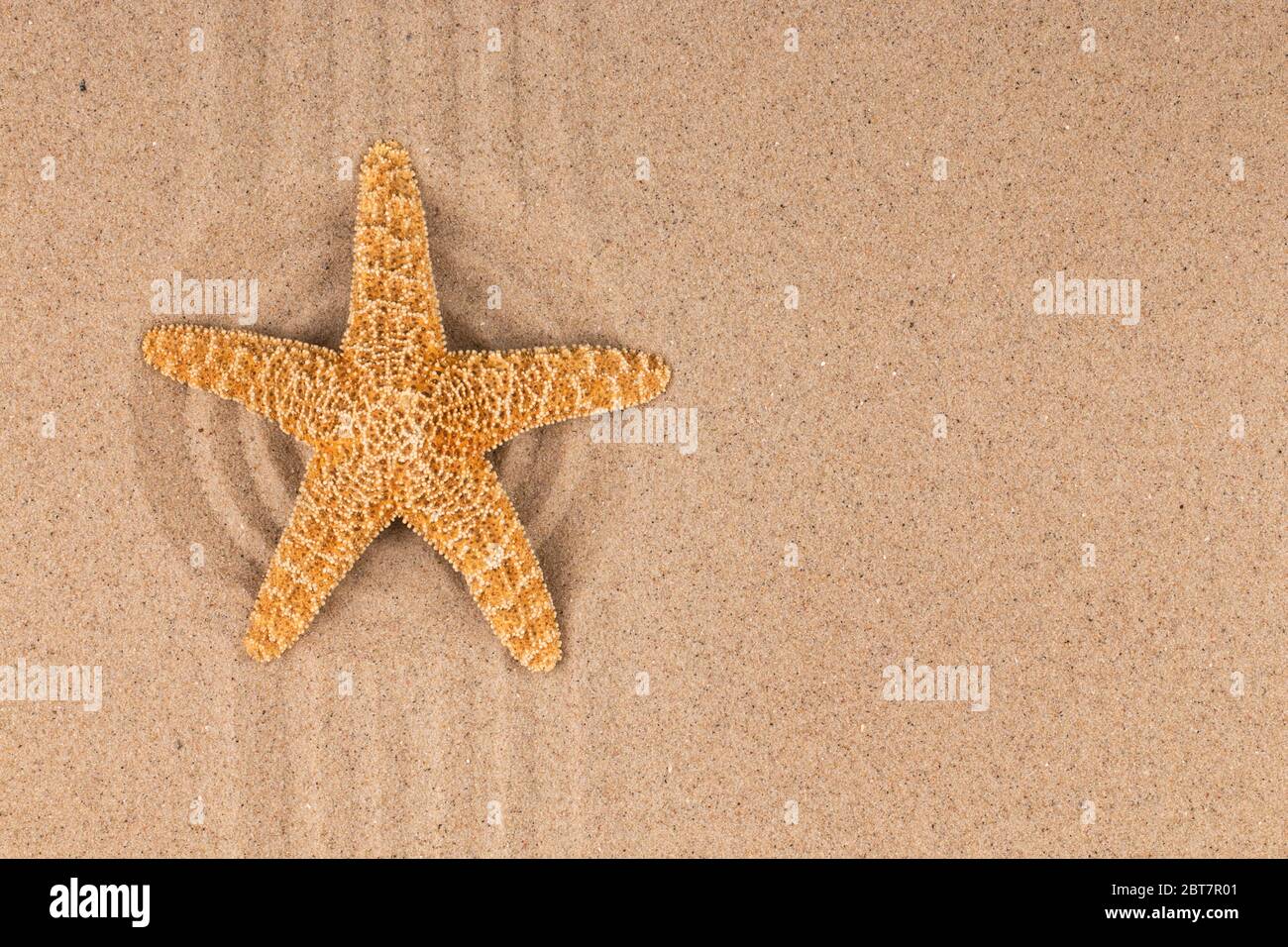 Starfish lying in the center of a circle of sand. Top view Stock Photo ...