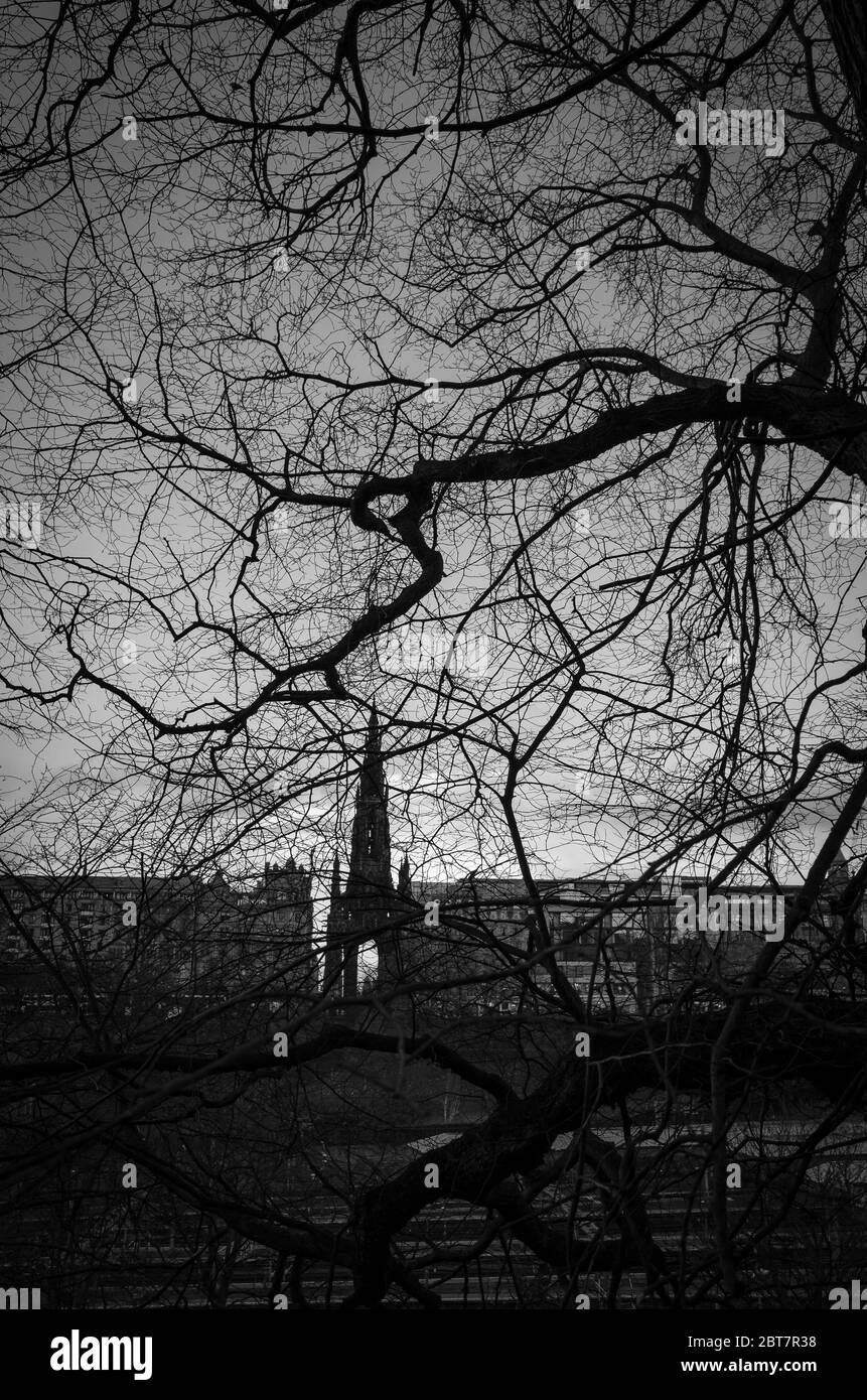 Scott Monument taken from The Mound Edinburgh through old bare tree ...
