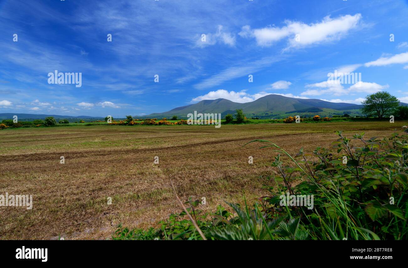 County Tipperary rural scenery Stock Photo - Alamy