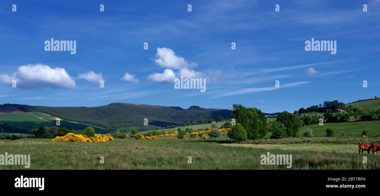 Tipperary hi-res stock photography and images - Alamy