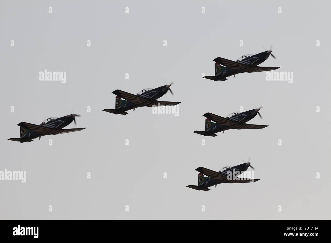 Silver falcon hi-res stock photography and images - Alamy