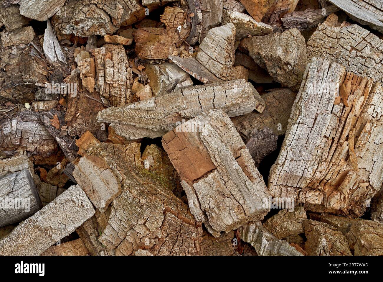A pile of dead wood Stock Photo - Alamy