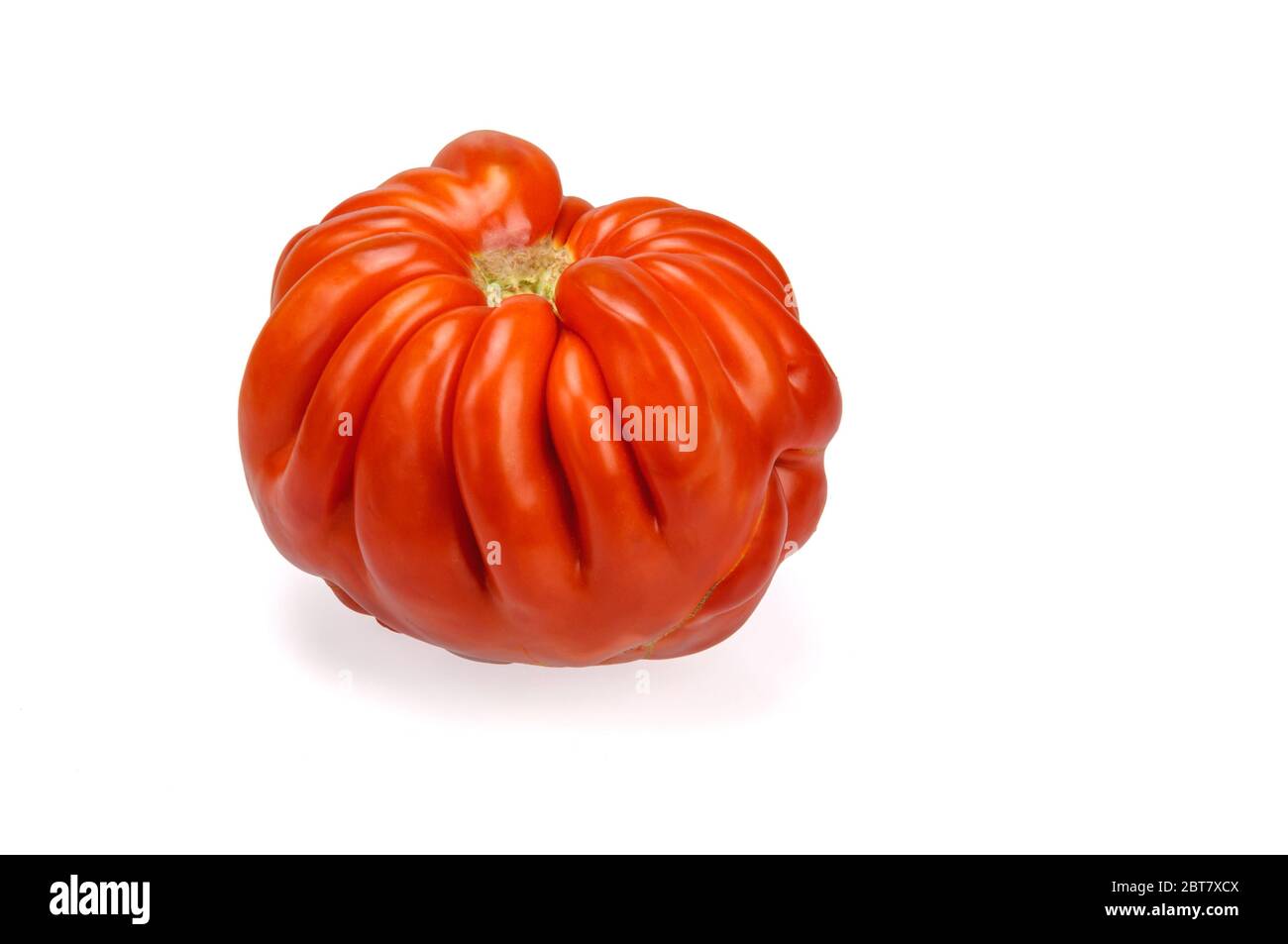Organic ribbed tomato on a white background. Ripe red vegetable ...
