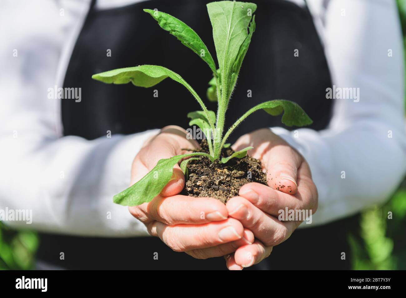 Bio lab hi-res stock photography and images - Alamy