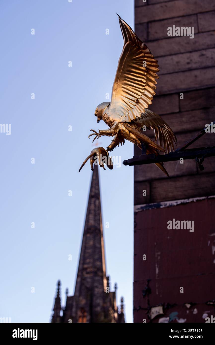 Golden Hawk sculpture at Gladstones Land Lawnmarket Edinburgh Stock ...
