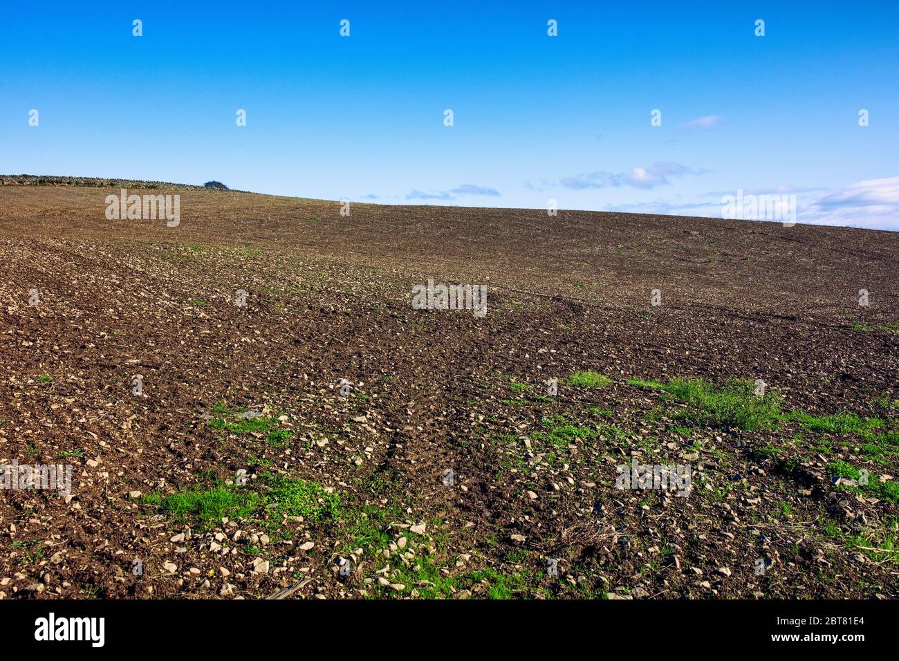 Sunny autumn farm land in delamont country park,Northern Ireland Stock ...