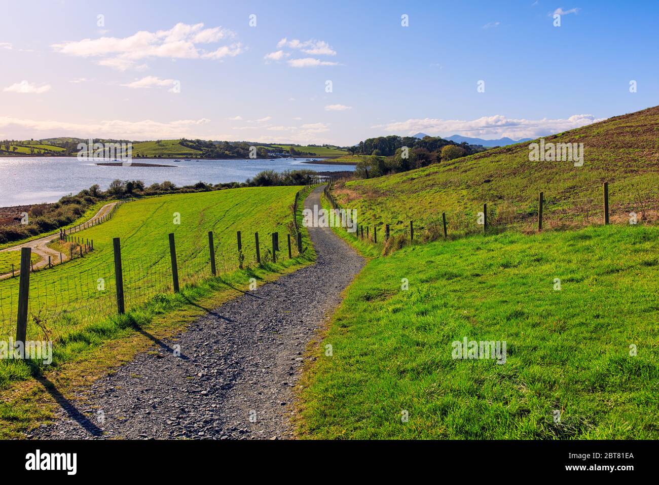 Delamont country park hi-res stock photography and images - Alamy
