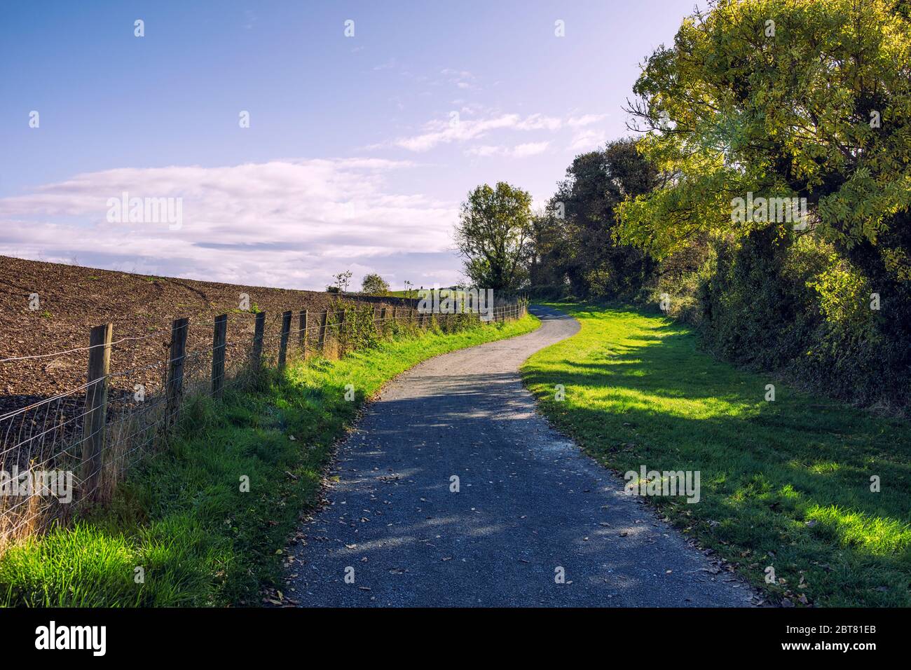 Sunny autumn delamont country park,Northern Ireland Stock Photo - Alamy