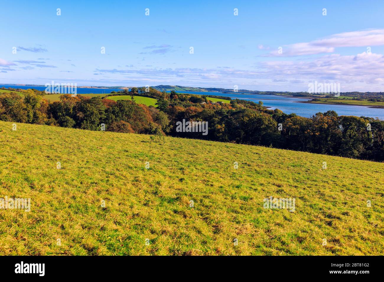 Sunny autumn delamont country park,Northern Ireland Stock Photo - Alamy