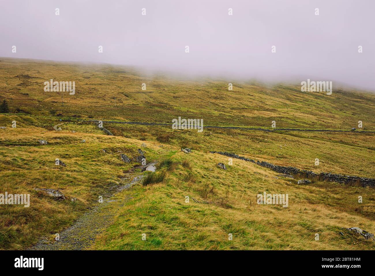 foggy autumn morning on mounrne mountain,Northern Ireland Stock Photo ...