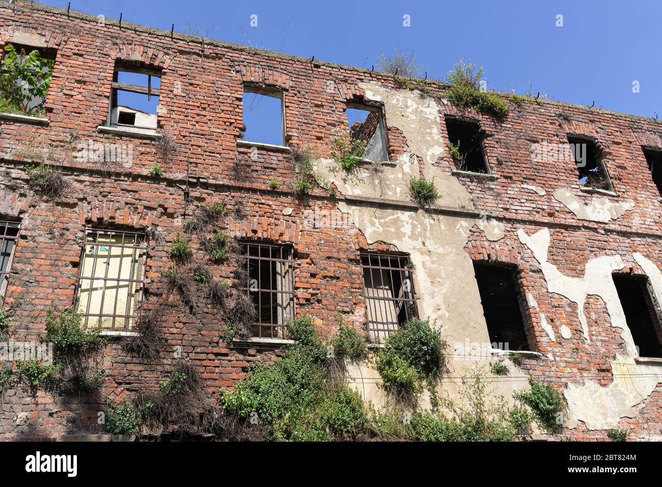 Old adandoned ruin building brick wall with trees grown on the stone ...