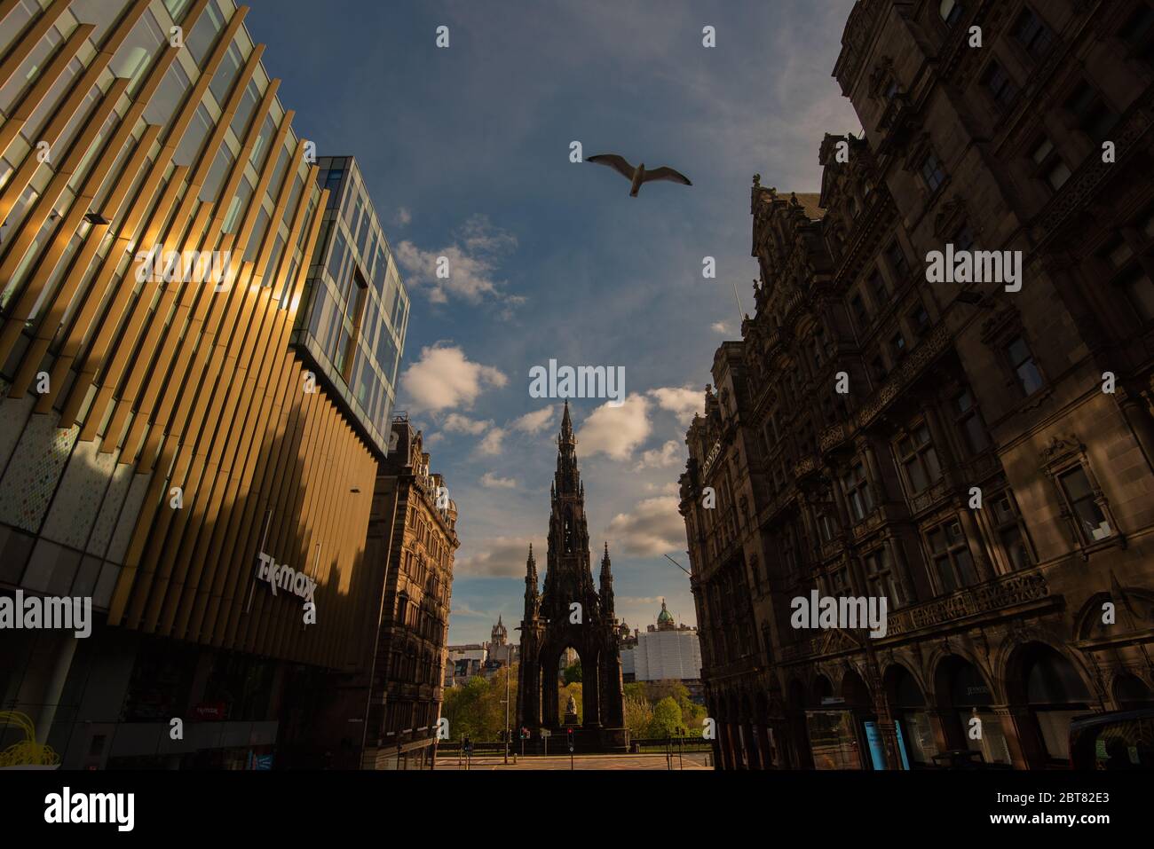 The Scott Monument Edinburgh with bird taking flight, taken during ...