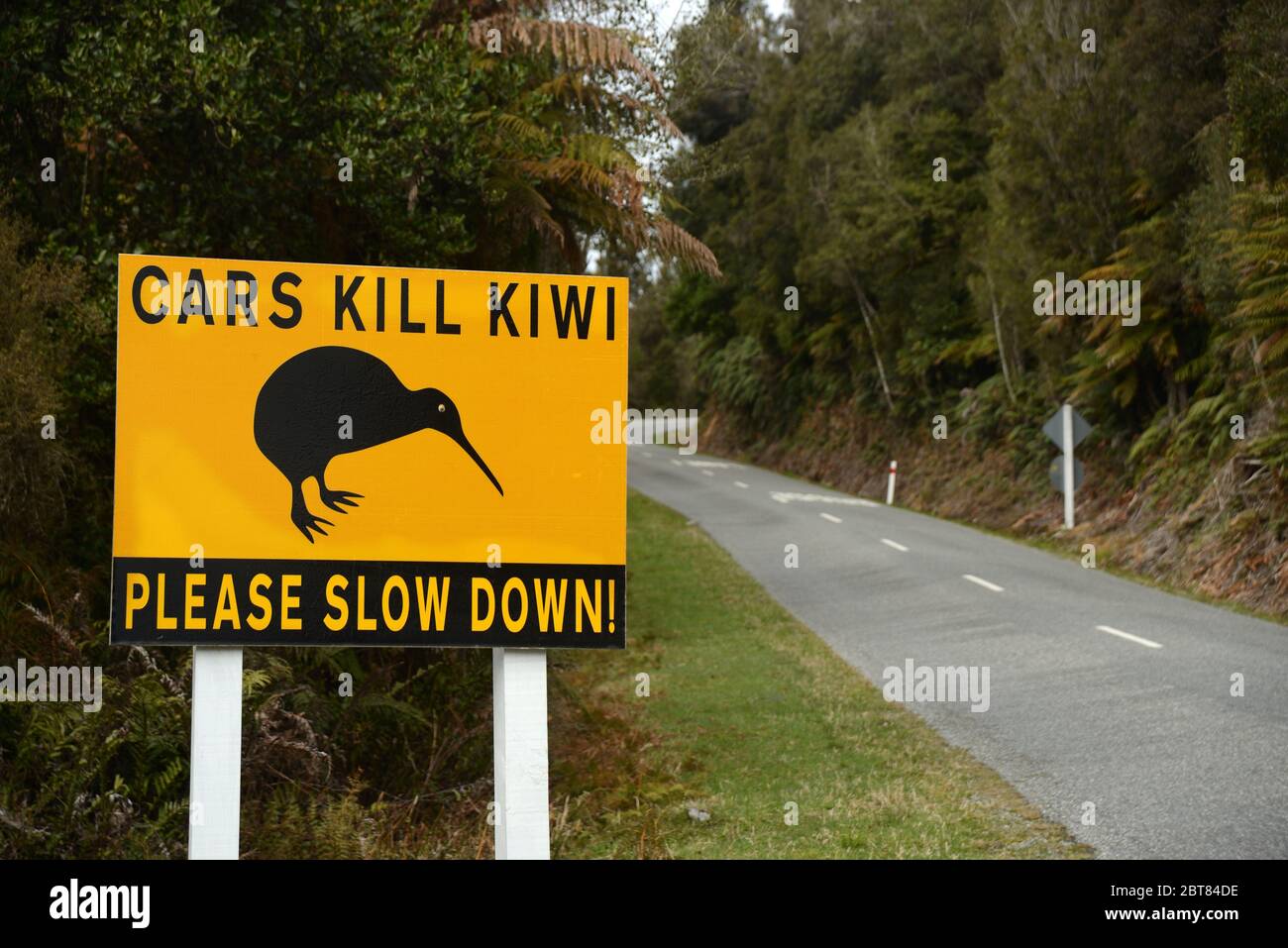 A road sign warns drivers to beware of Kiwi as they drive into Okarito ...