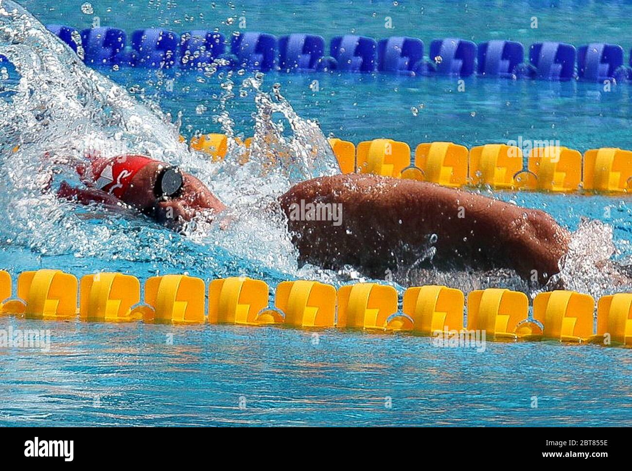 Lotte Friis of Danemark Series 1500 M NL Women during the Swimming ...