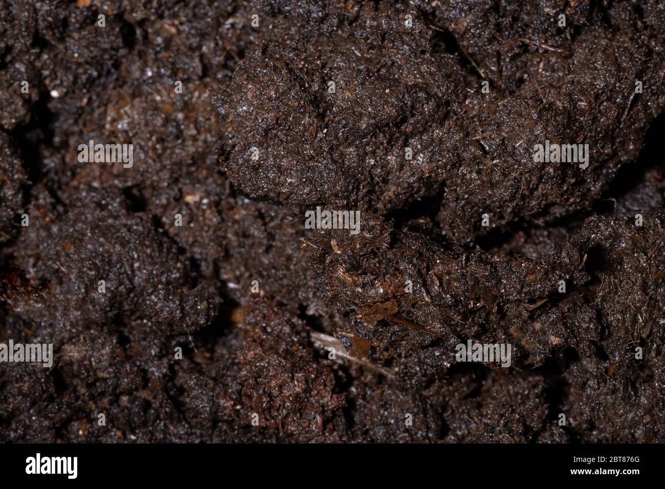 Surface texture of wet garden black soil. Mud and dirt background ...