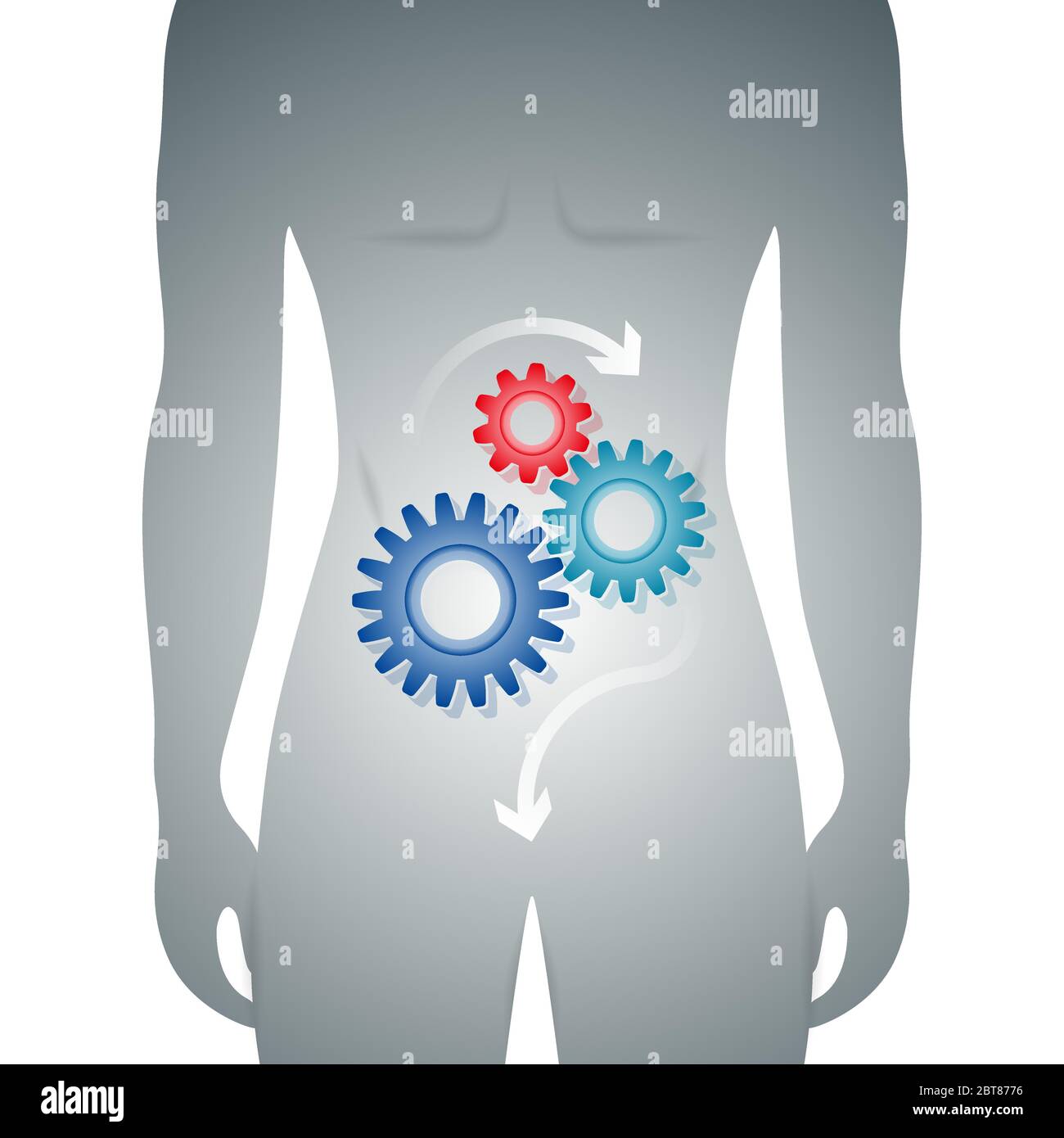 Man body with good digestion in the stomach represented by a cog ...