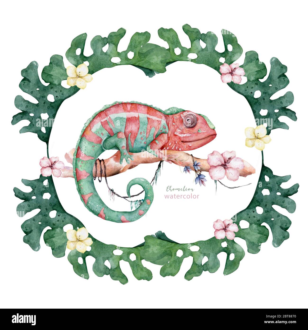 Chameleon Lizard with tropical flowers Hand drawn watercolor isolated ...