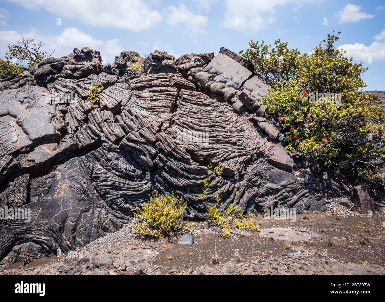 Details of old lava flows uplifted and cracked over time, Hawaii ...