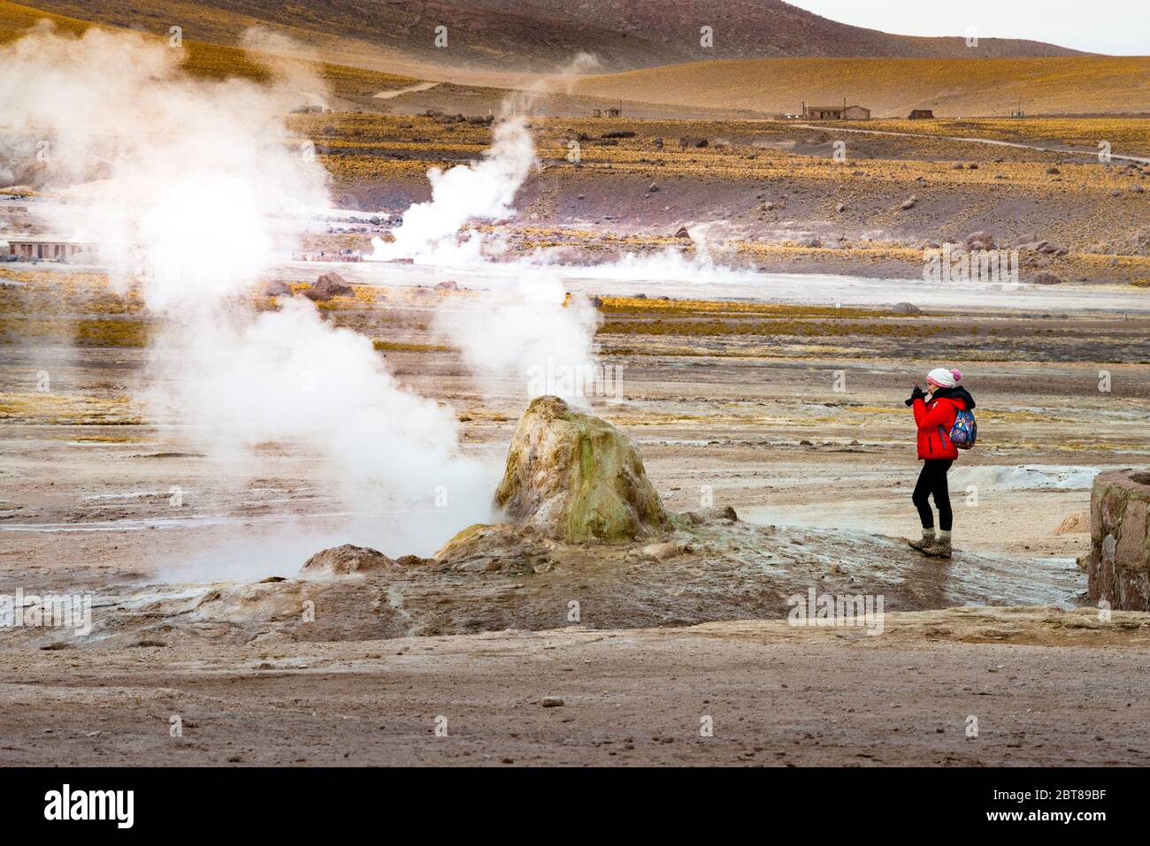 Tatio Geysers in the Atacama Desert, Chile Stock Photo - Alamy