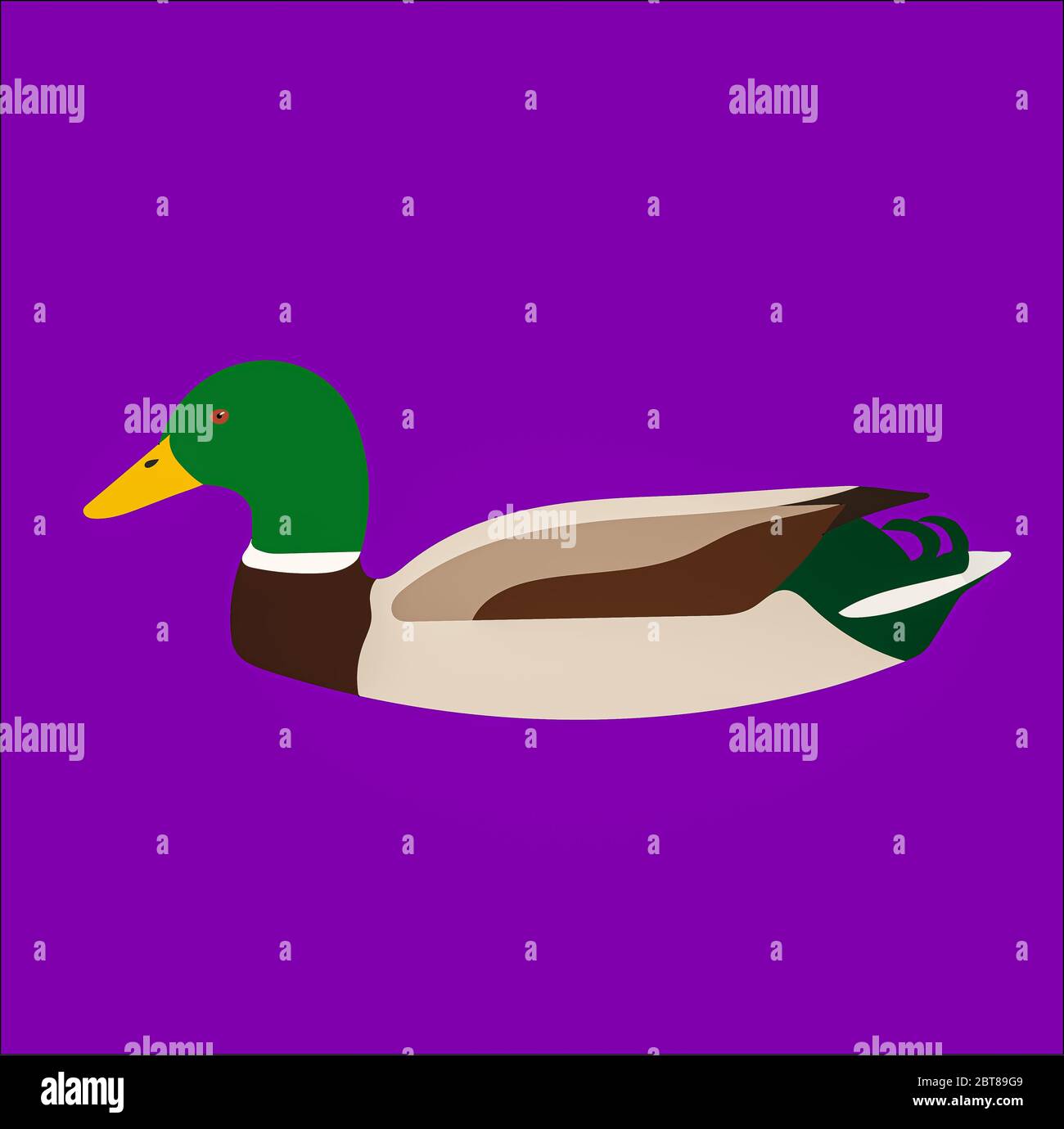 a graphic illustration of Mallard Duck for use as a logo or icon Stock ...