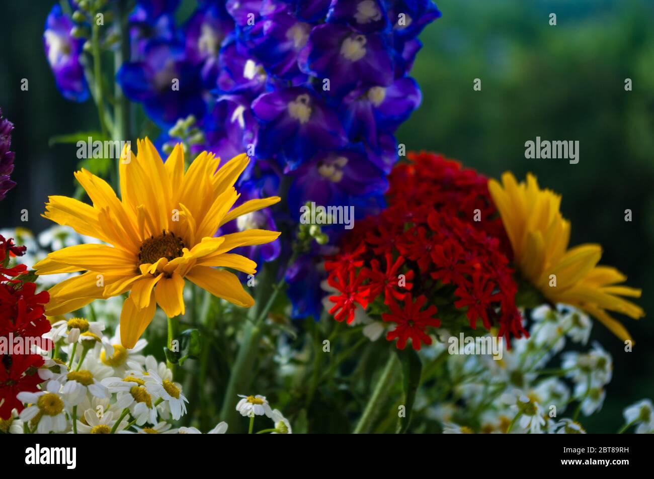 a bouquet of bright spring flowers of various types Stock Photo - Alamy