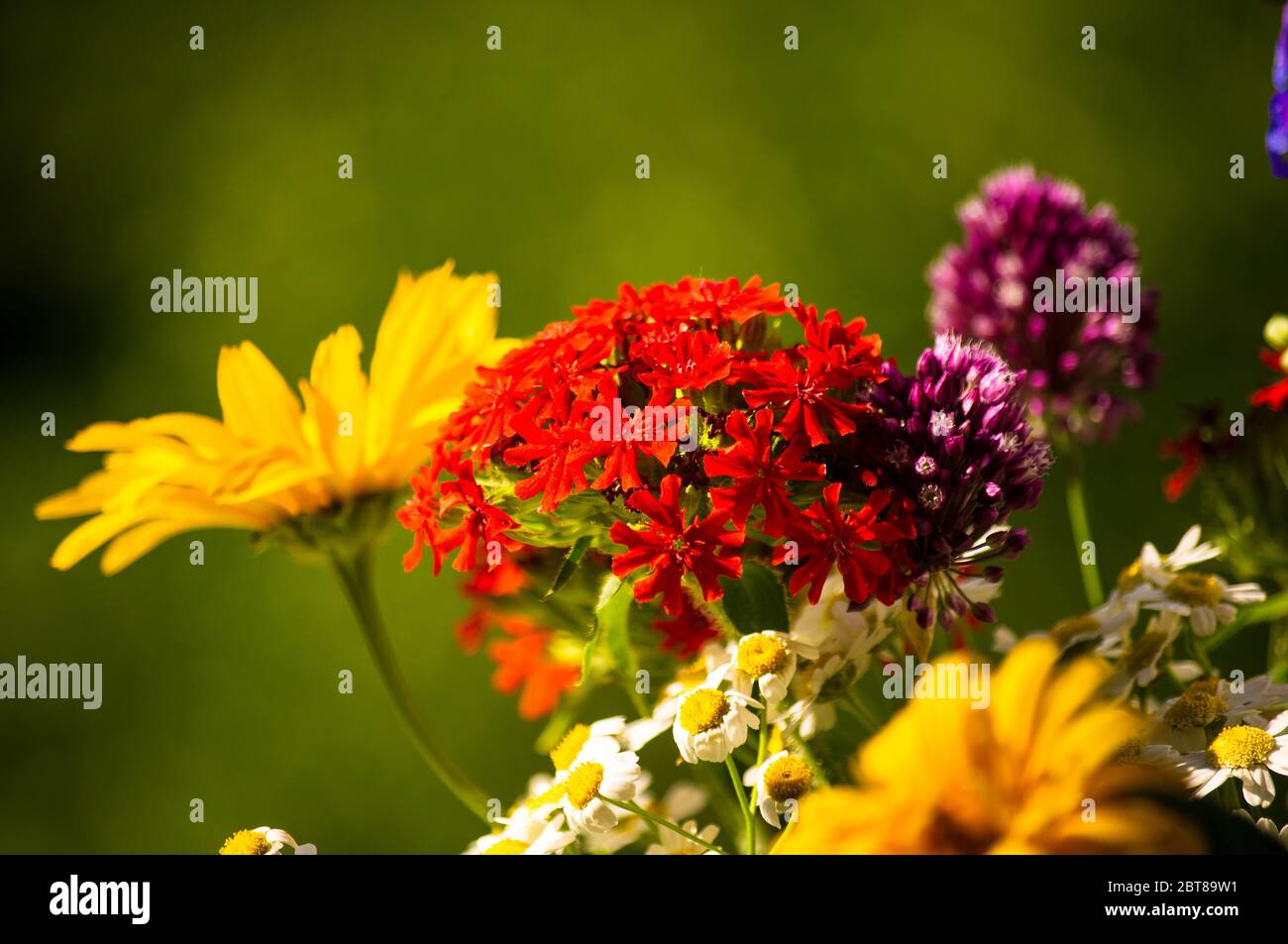 a bouquet of bright spring flowers of various types Stock Photo - Alamy