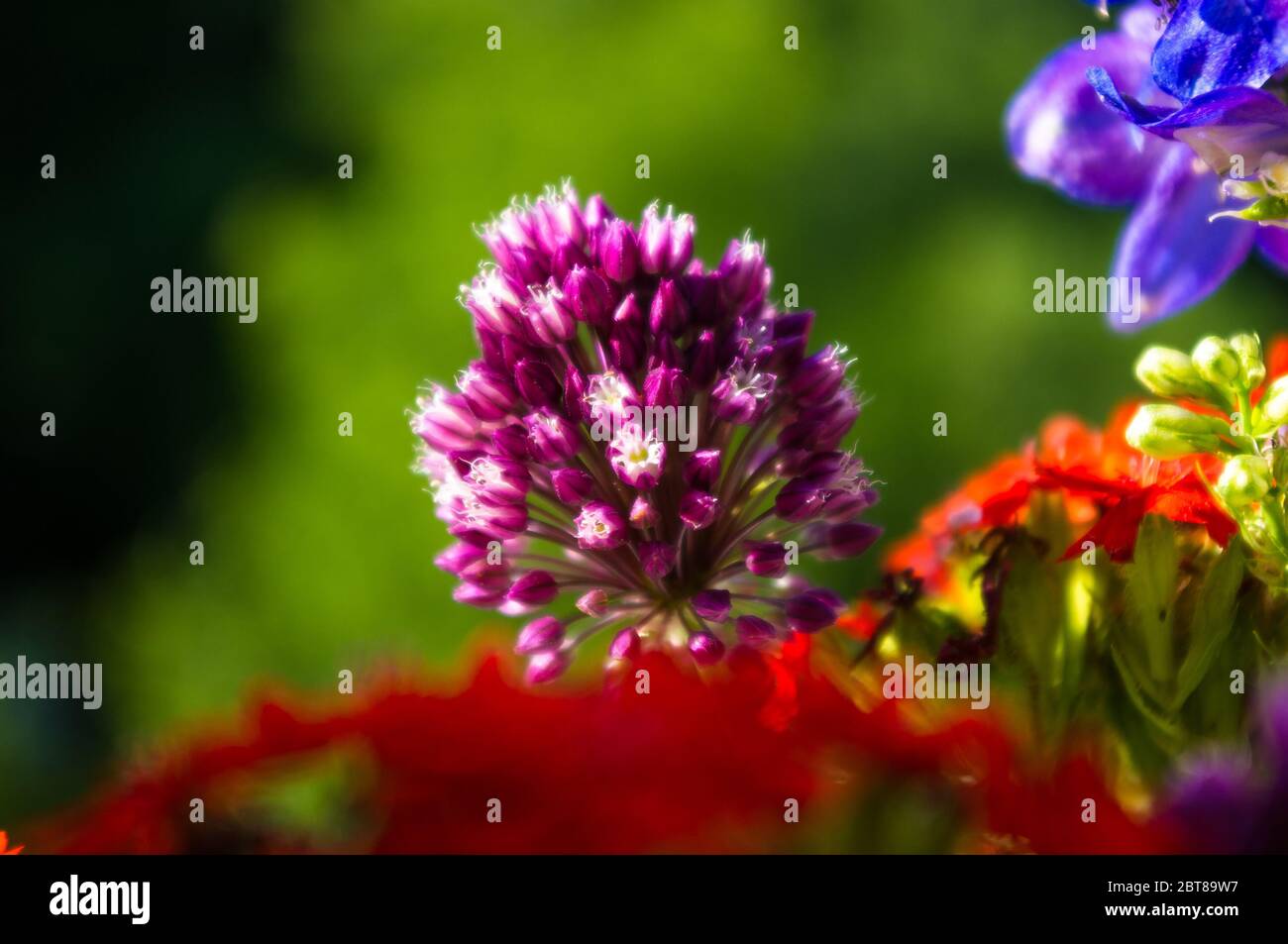 a bouquet of bright spring flowers of various types Stock Photo - Alamy