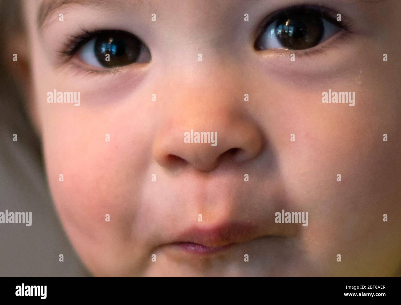 Just the face hi-res stock photography and images - Alamy