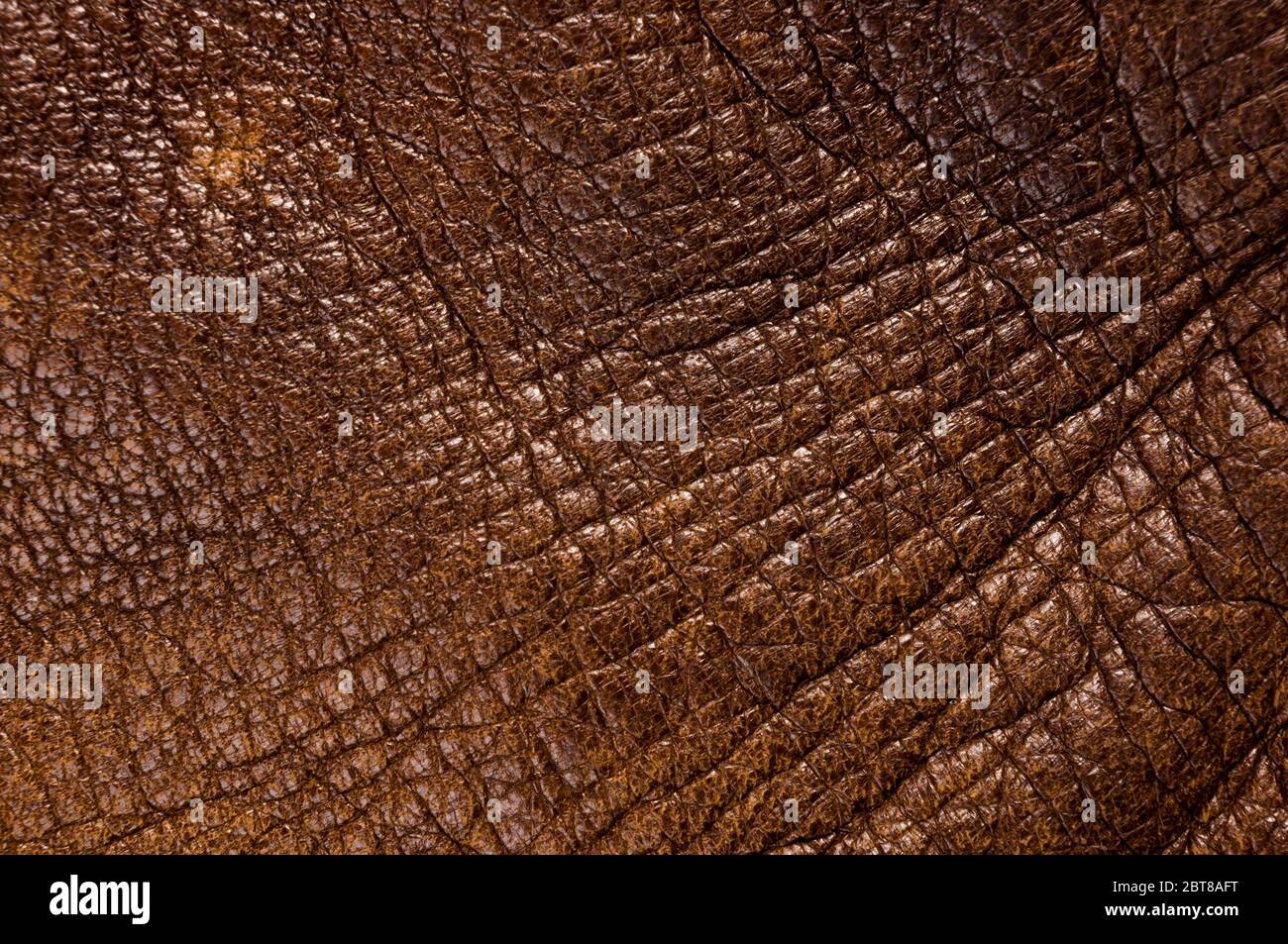 Old vintage genuine soft brown leather texture background, top layer ...
