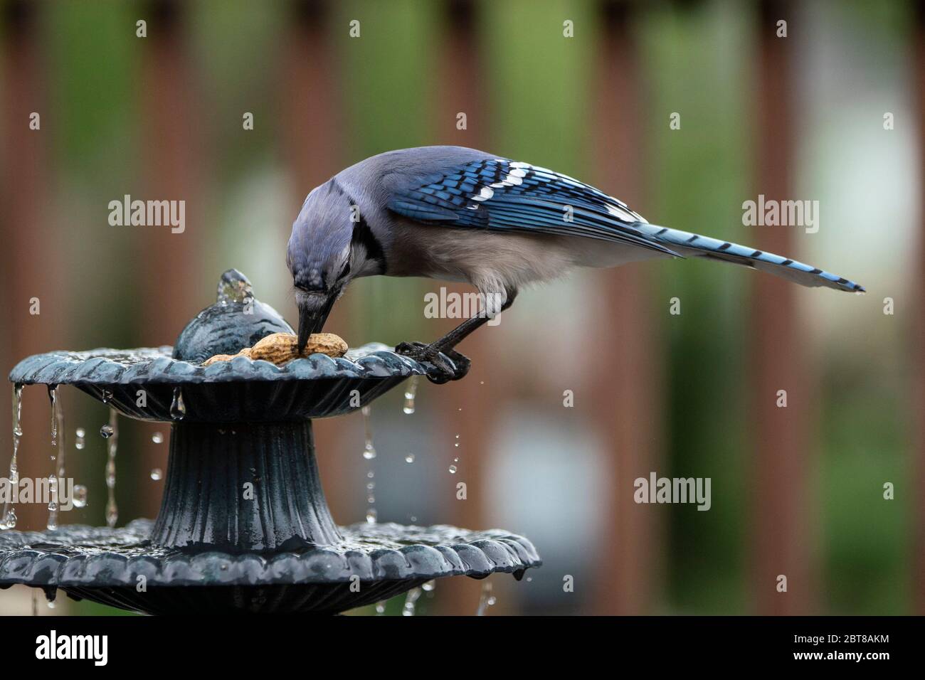 Dipping bath hi-res stock photography and images - Alamy