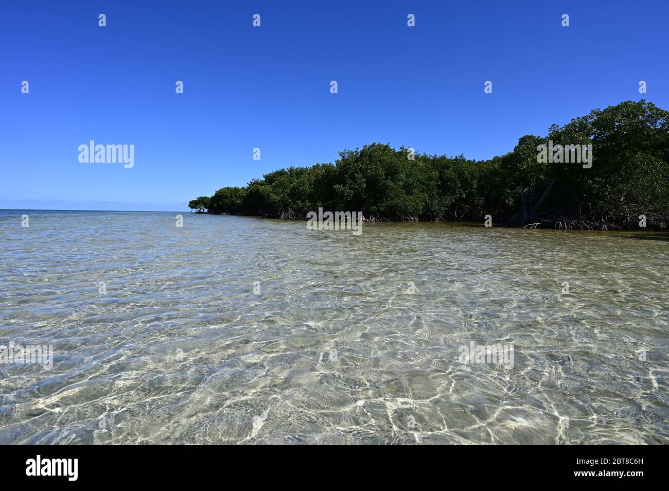 Shallow sandbar and mangrove coast in Bear Cut off Key Biscayne ...
