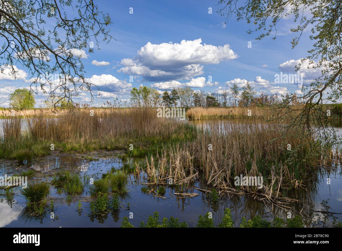 Morava hi-res stock photography and images - Alamy
