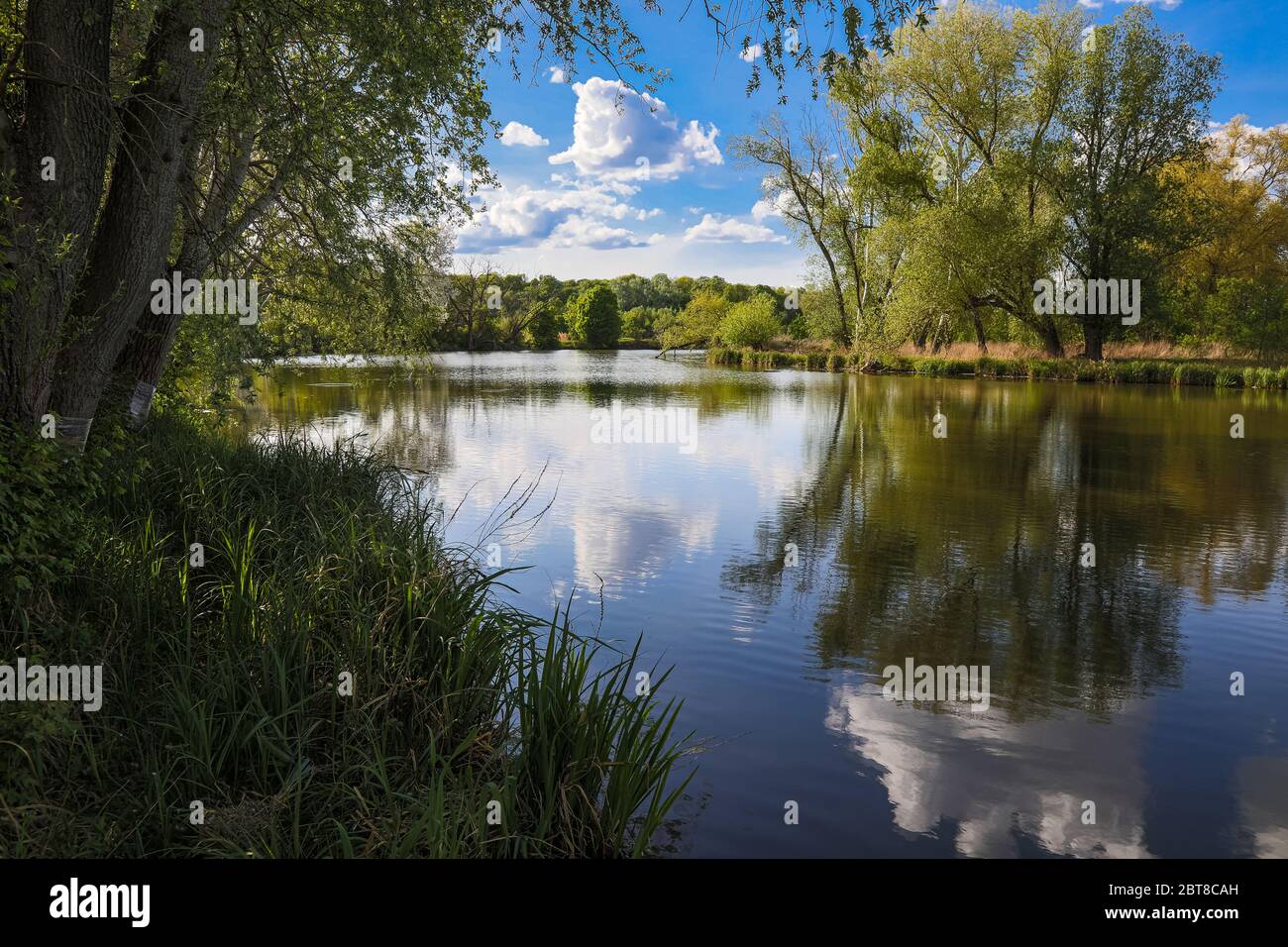 Morava river hi-res stock photography and images - Alamy