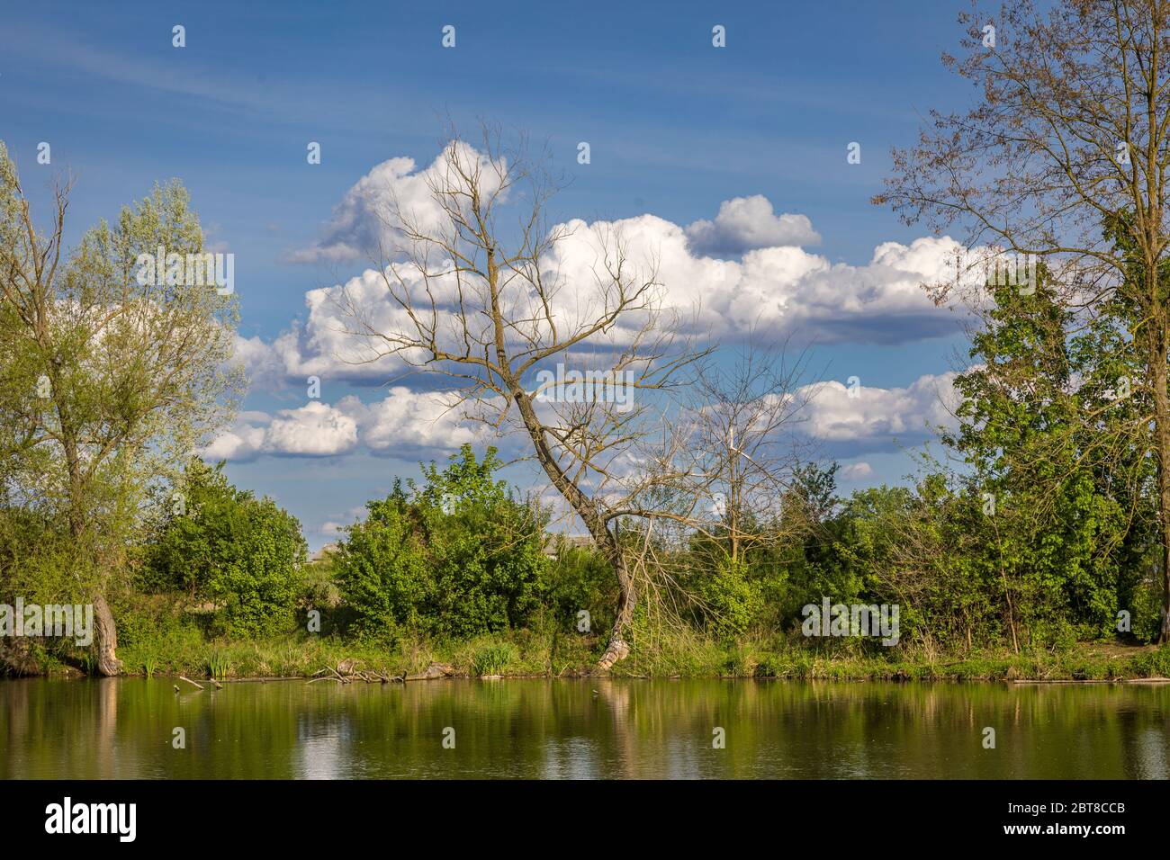 Morava hi-res stock photography and images - Alamy