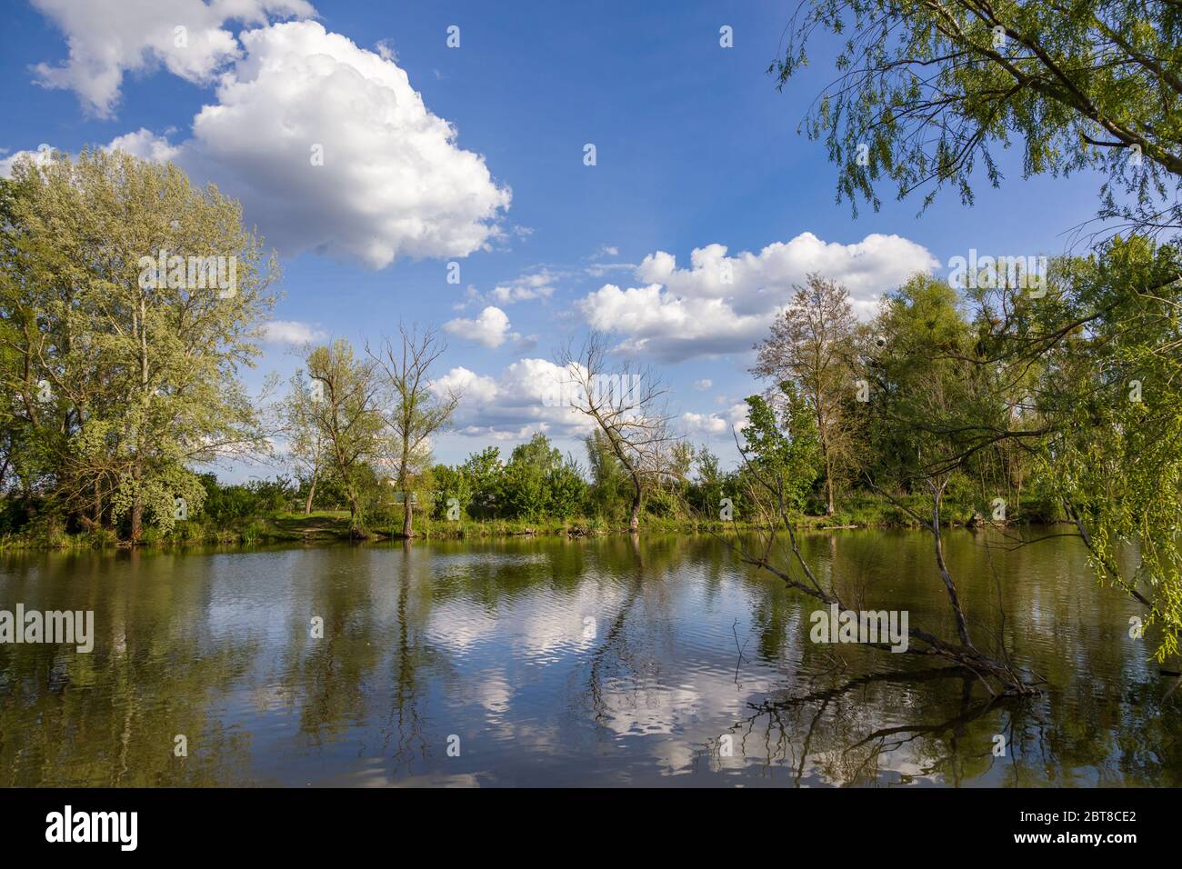 Morava river hi-res stock photography and images - Alamy