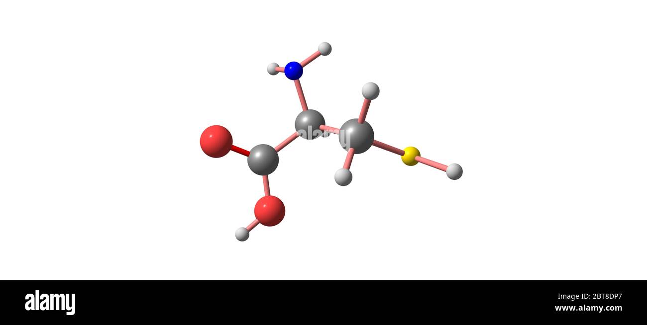 Cysteine or Cys is a semi-essential proteinogenic amino acid with the ...