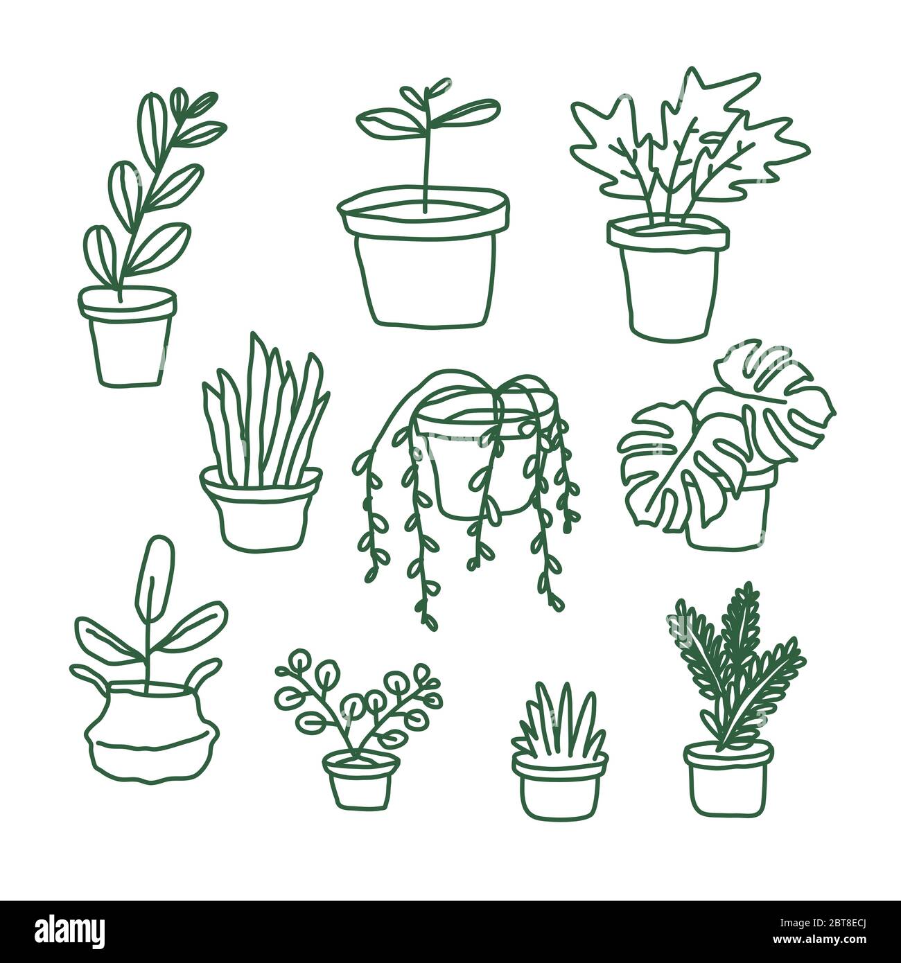 Plants for small pots Stock Vector Images - Alamy