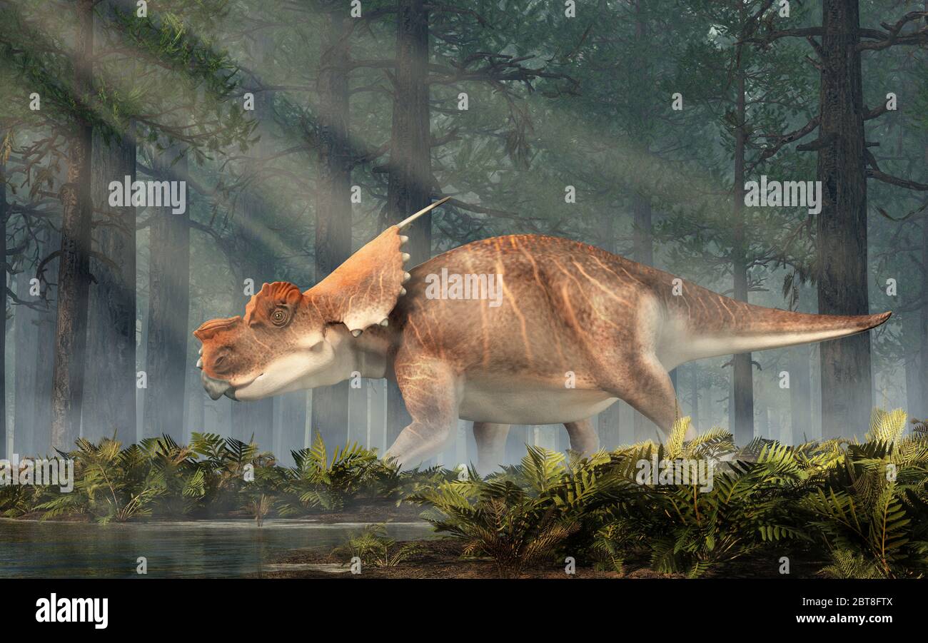 Achelousaurus was a Cretaceous era dinosaur. A cousin of the ...