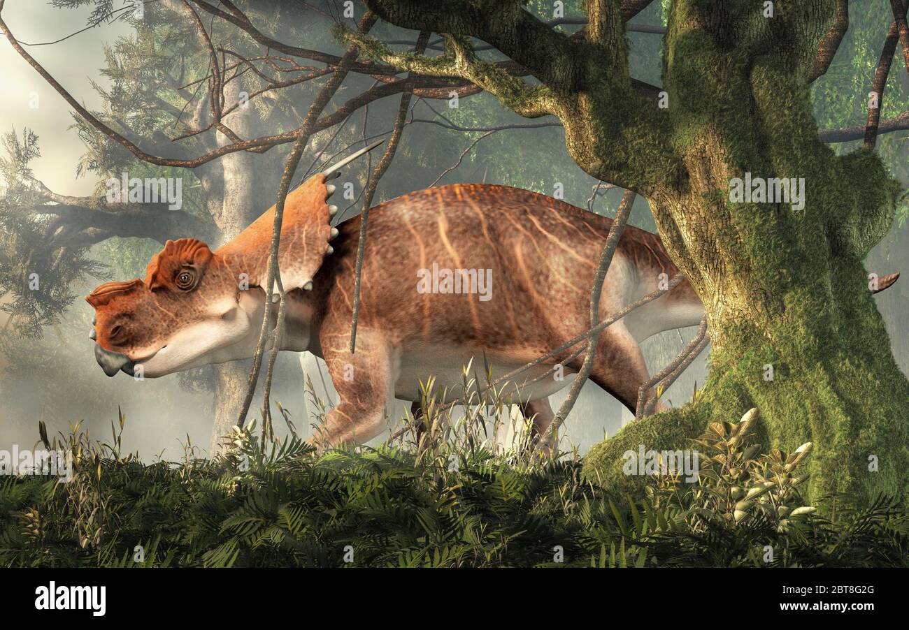 Achelousaurus was a Cretaceous era dinosaur. A cousin of the ...