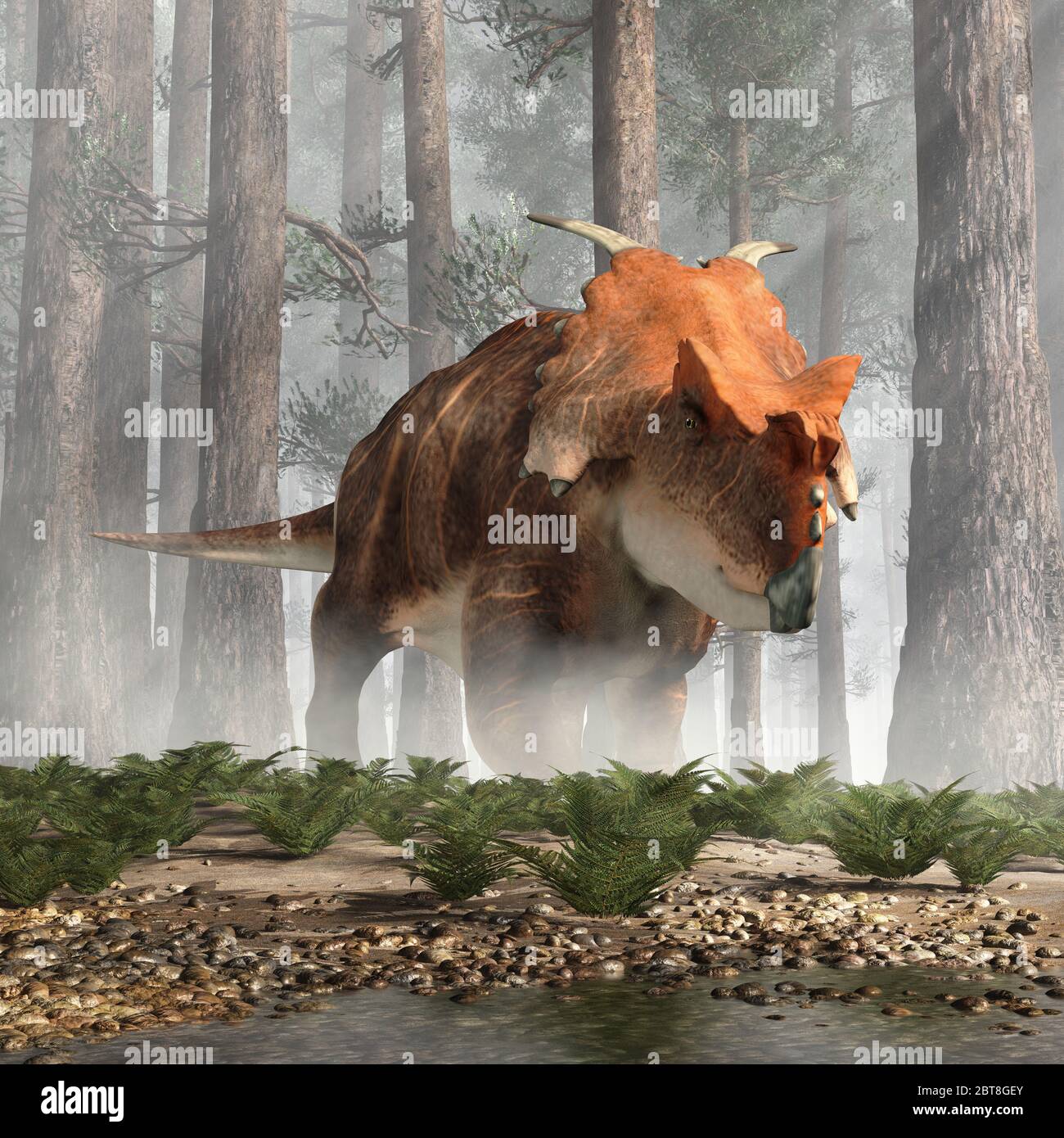 Achelousaurus was a Cretaceous era dinosaur. A cousin of the ...